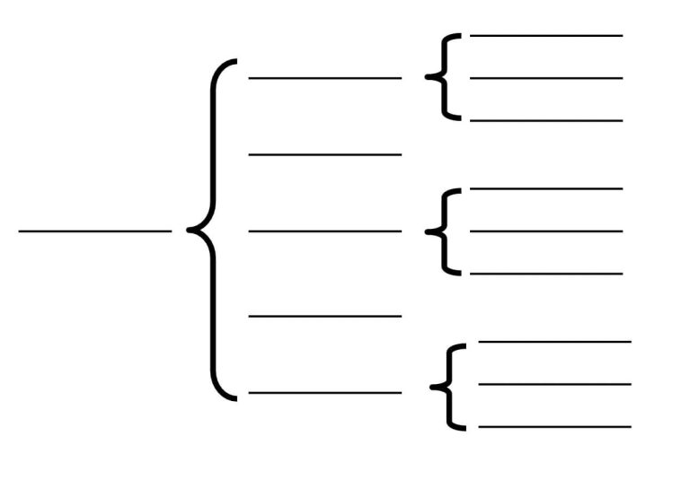 Plantillas de mapa conceptual en Word | Jerárquico, araña